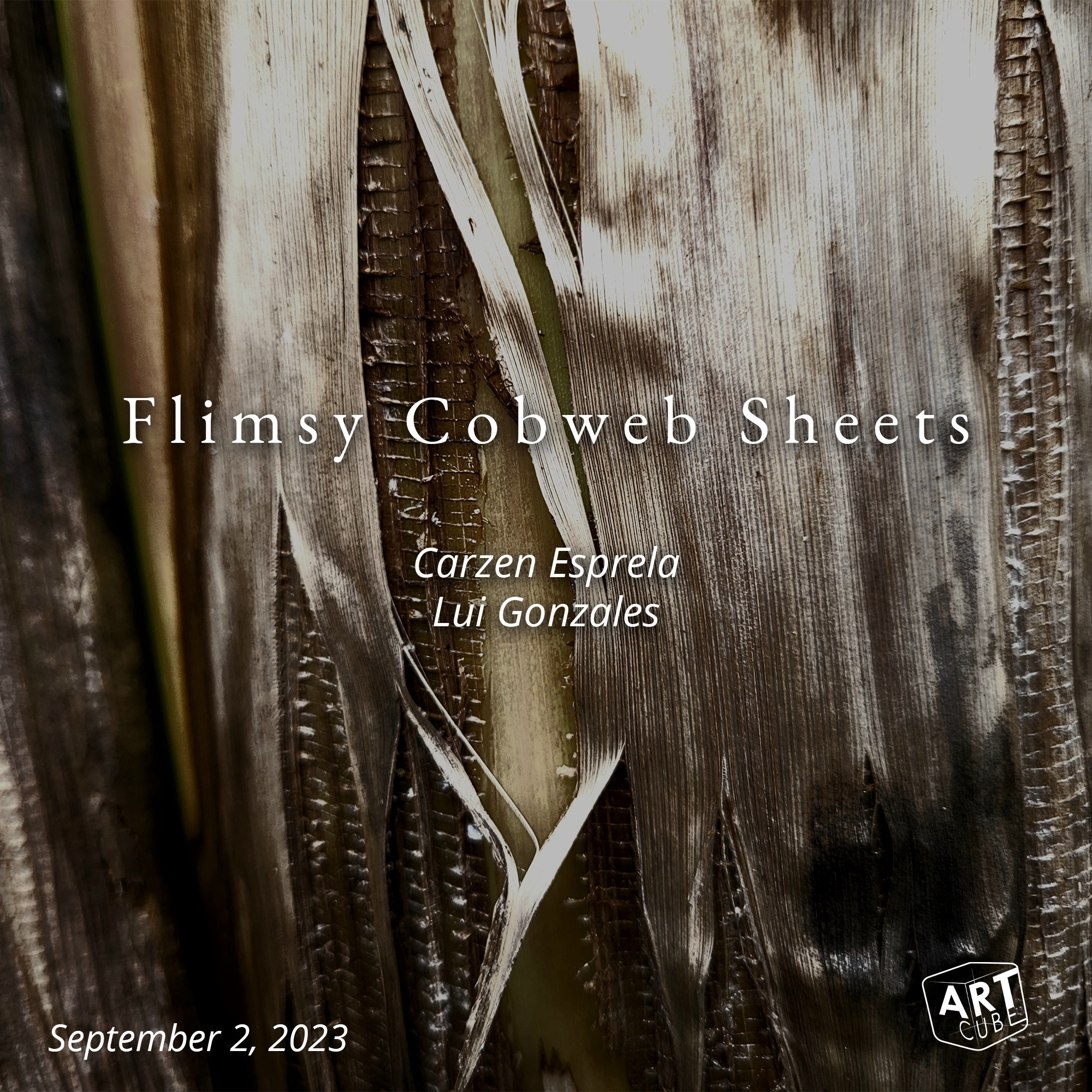 Flimsy Cobweb Sheets - Carzen Esprela & Lui Gonzales | Art Cube Philippines