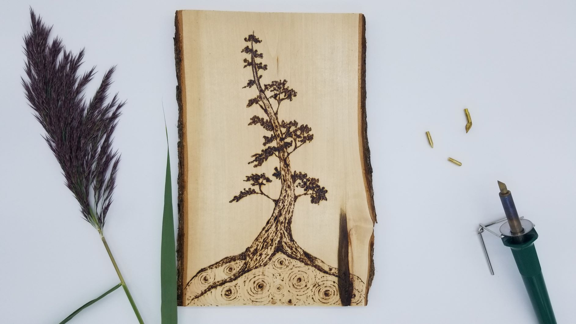 Pyrography: Intro to wood burning