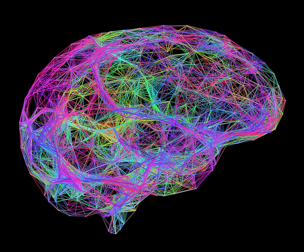 More Than Molecules: A Circuits Approach to Schizophrenia