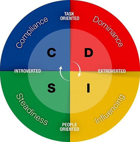 DISC Behavioural Style Assessment | The Adapt Group