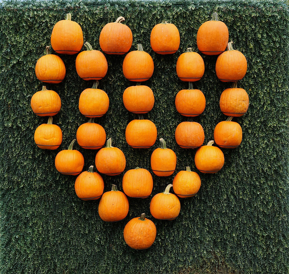 How to Create Amazing Pumpkin Patch Photo Opportunities