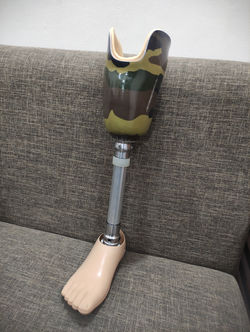 Lower Limb Prostheses | Bdlimbcenter
