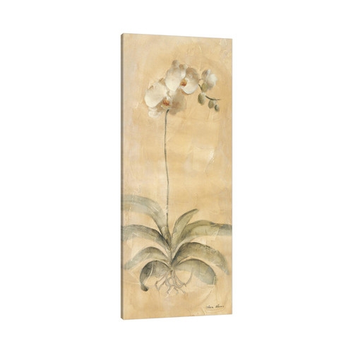 White Orchid Panel by Cheri Blum | ARTistic Elevations