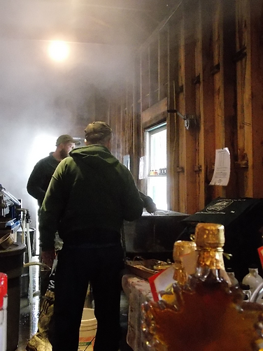 Adirondack Maple Syrup | Hidden Hollow Maple Farm | United States