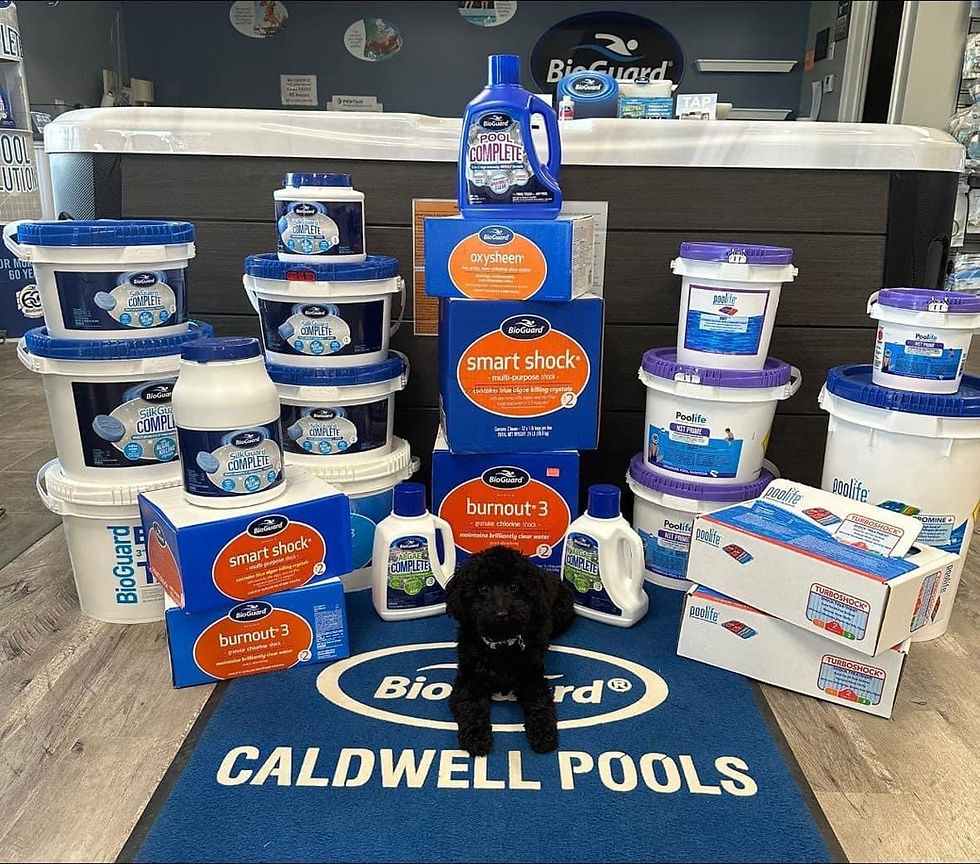 Home | Caldwell Pools | Swimming Pool | Warren, OH