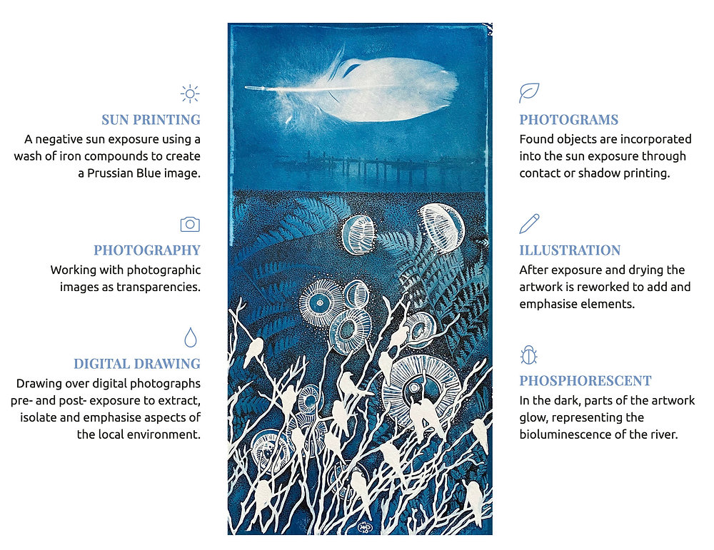 The Magic of Cyanotypes