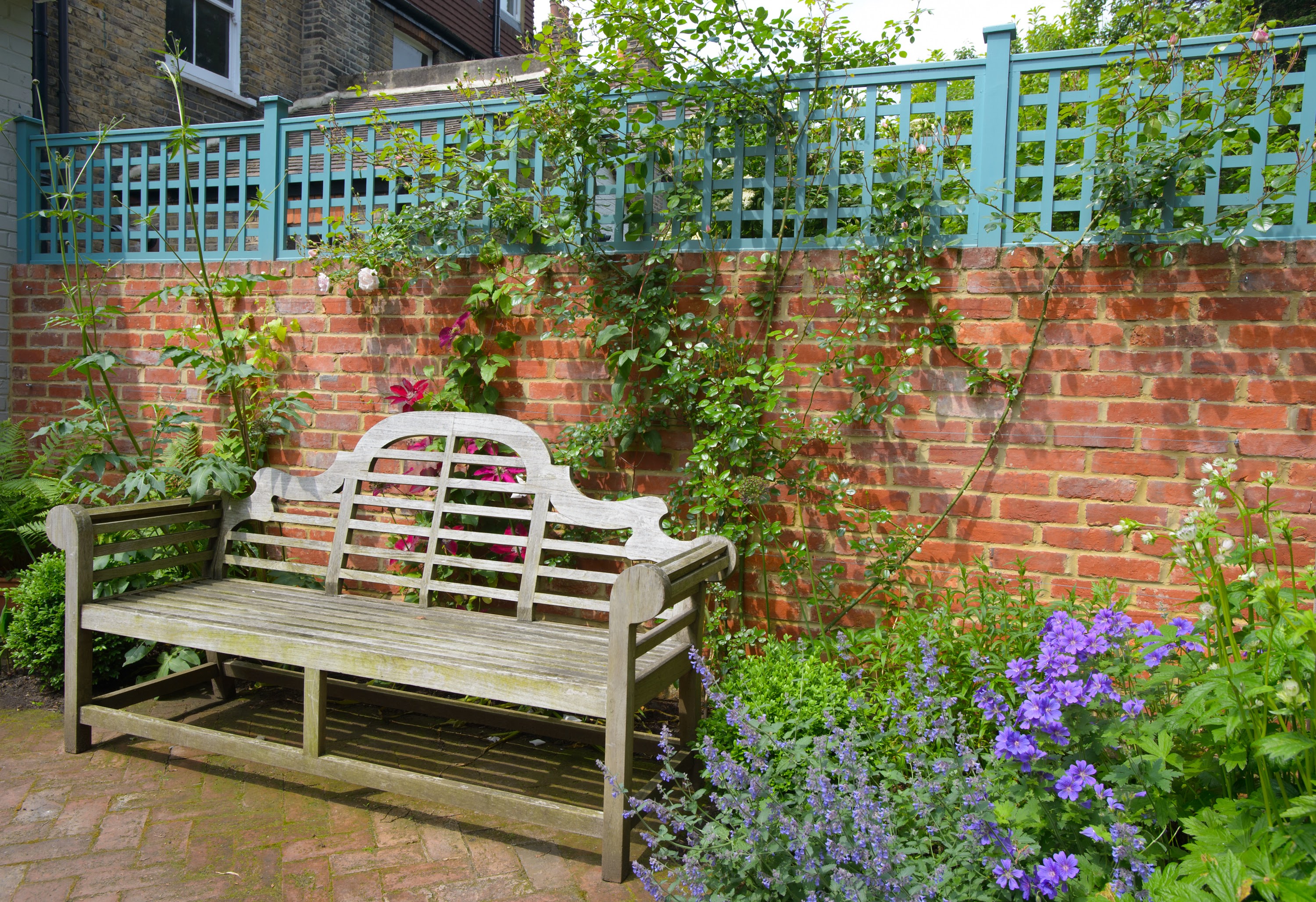 Our Trellis l The Palace Gardener