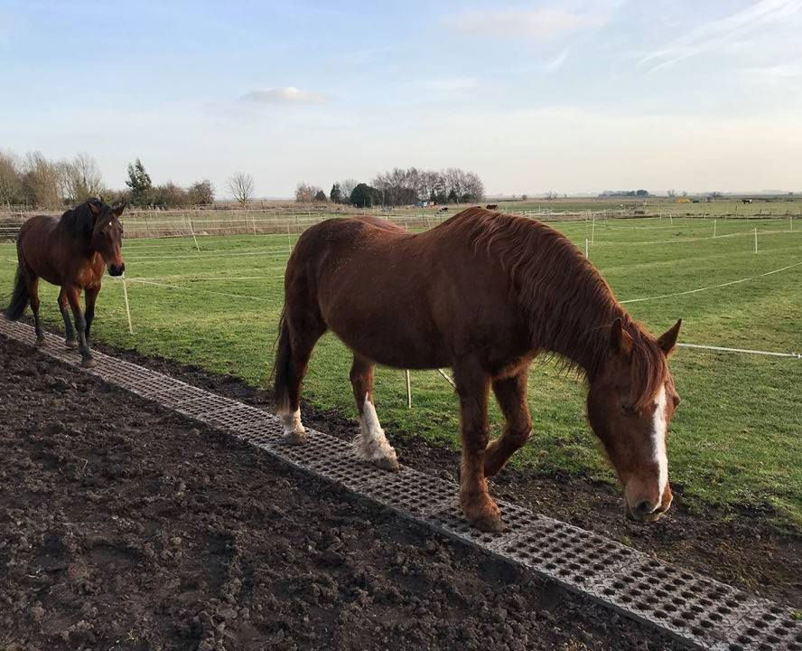 Product Spotlight: Mud Control Grids