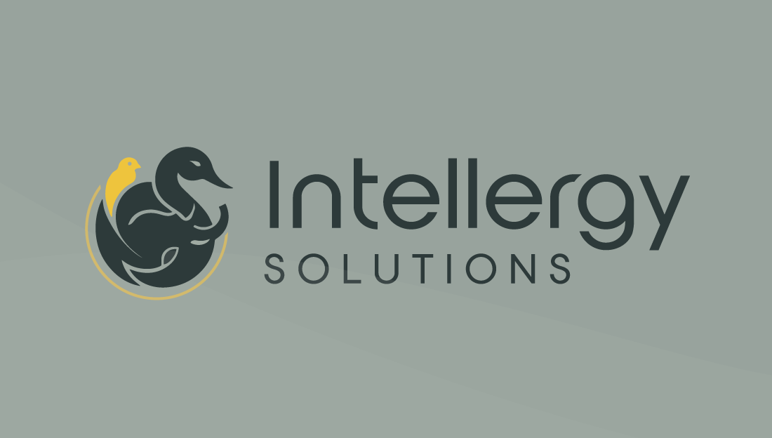 Intellergy Solutions | Risk management and governance advisors