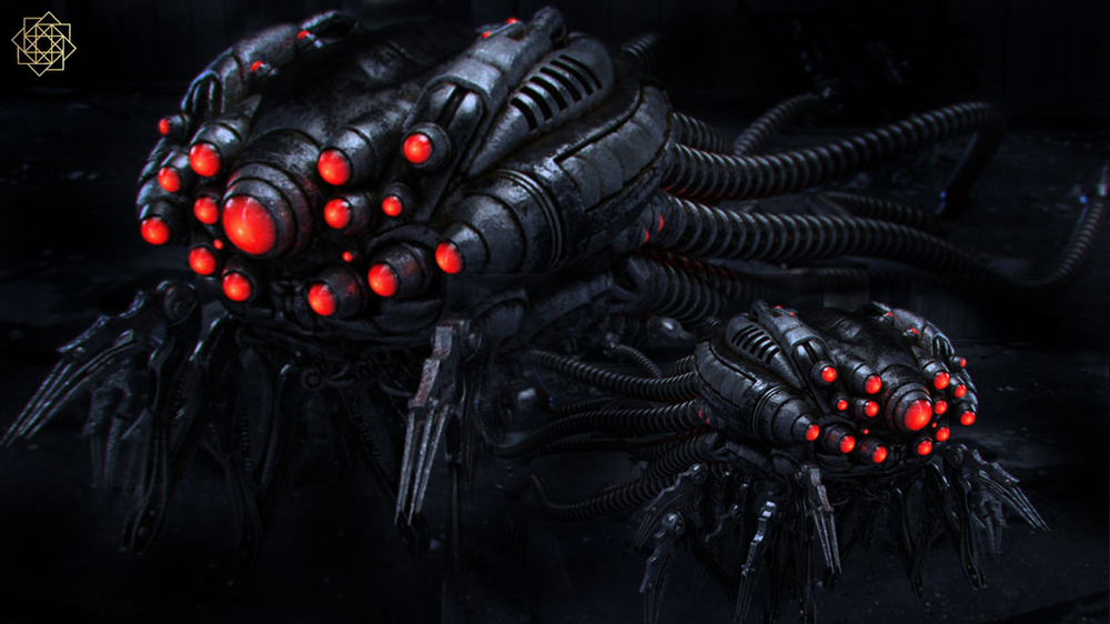 5 Steps: Negative Entity & Energy Parasite Removal