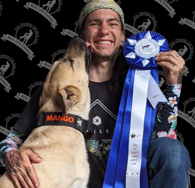 About Levi | Real Life Canines