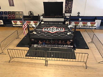Micro Wrestling Federation