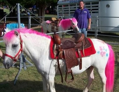 PONY RENTAL | B3 Entertainment