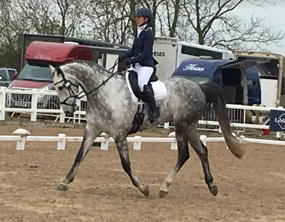 Winter Dressage Qualifier | Naphill Riding Club