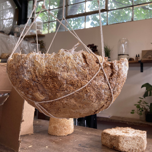 Making With Mycelium Kit | Fat Fox Mushrooms