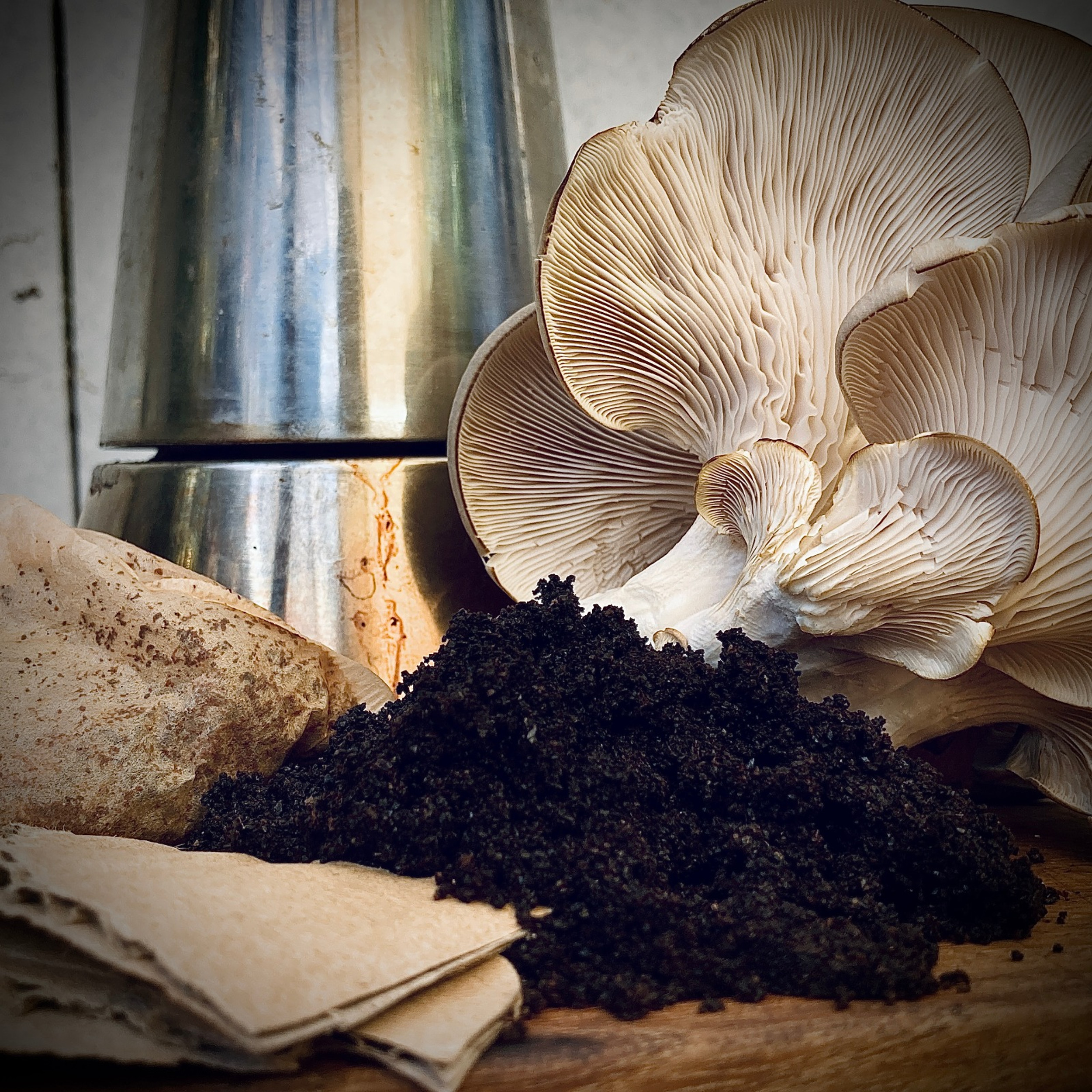 Fungi As Recyclers Workshop | Fat Fox Mushrooms