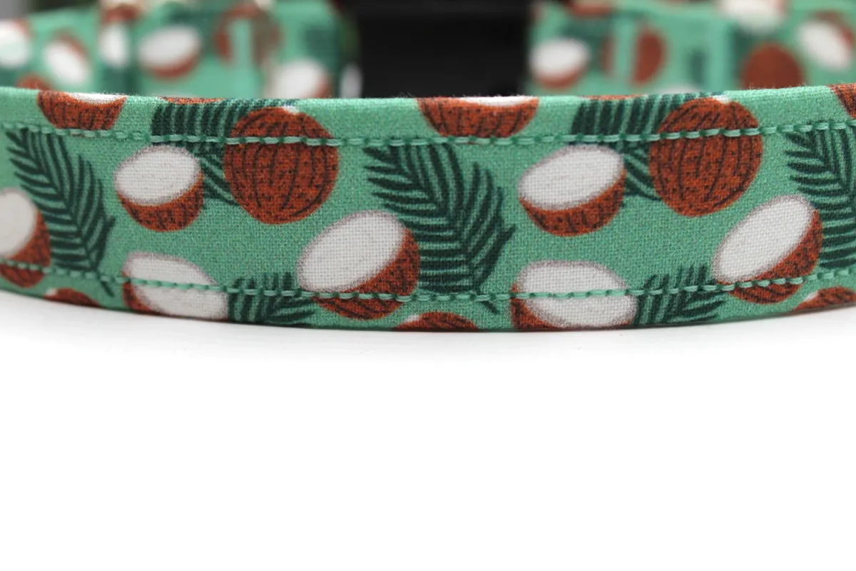 Coconut Dog Collar | Furever Fashion, LLC