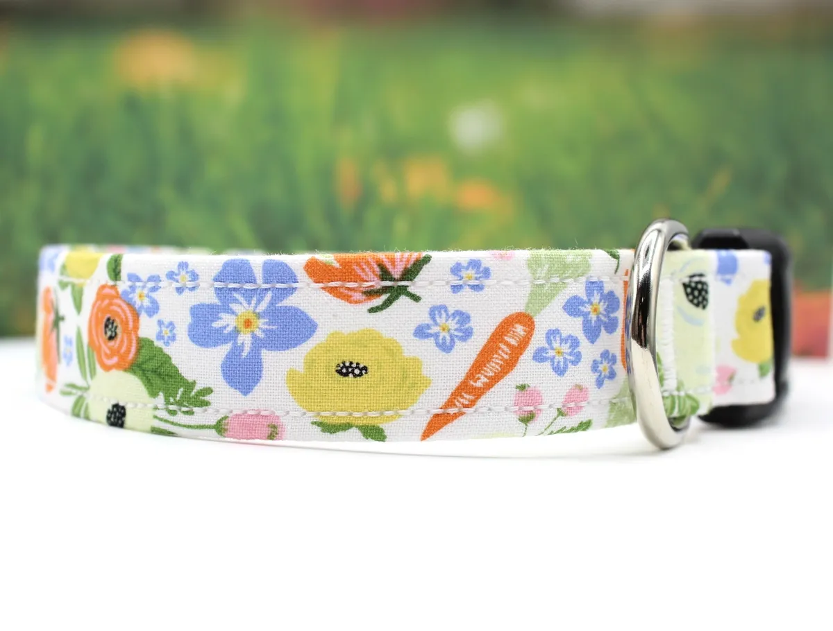 Easter & Spring Collars | Furever Fashion by April, LLC
