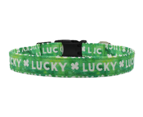 Lucky Dog Collar | Furever Fashion, LLC