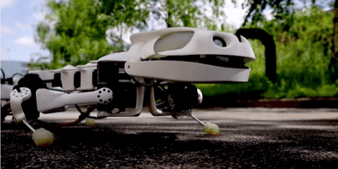 Salamander Robot Creeps Like a Real Amphibian It can swim, walk, and ...