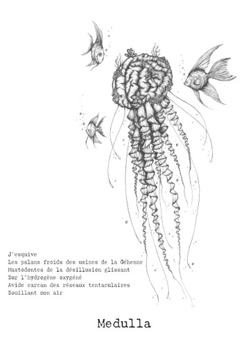 Illustration A3 - Medulla - Mimenbulle et Sigma Pan | LaLucarneindécente