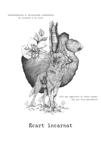 Illustration A3 - Écart incarnat - Mimenbelle et Sigma Pan ...