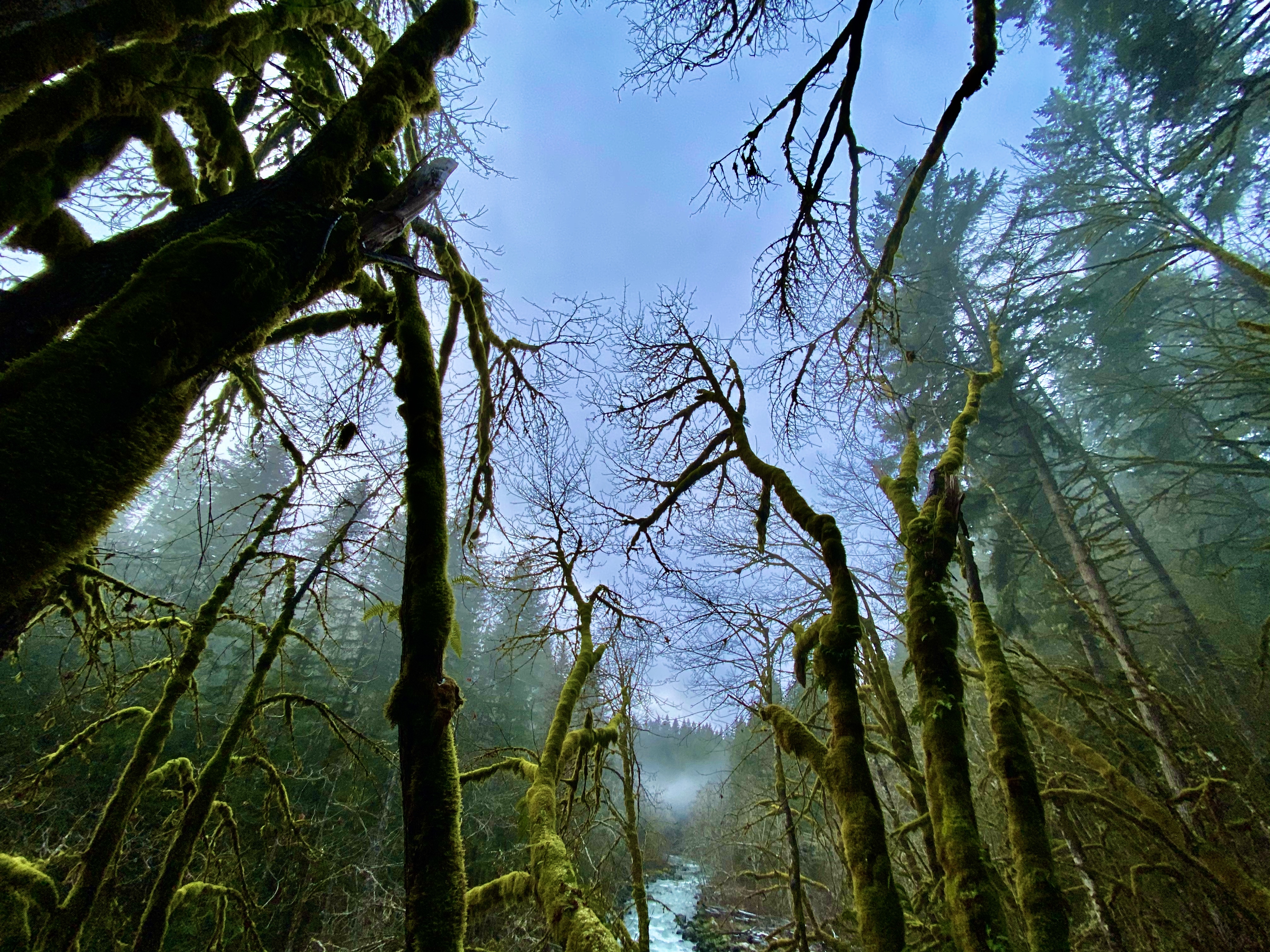 Videography | Jim Bergman Media Consulting and Video | Portland, OR