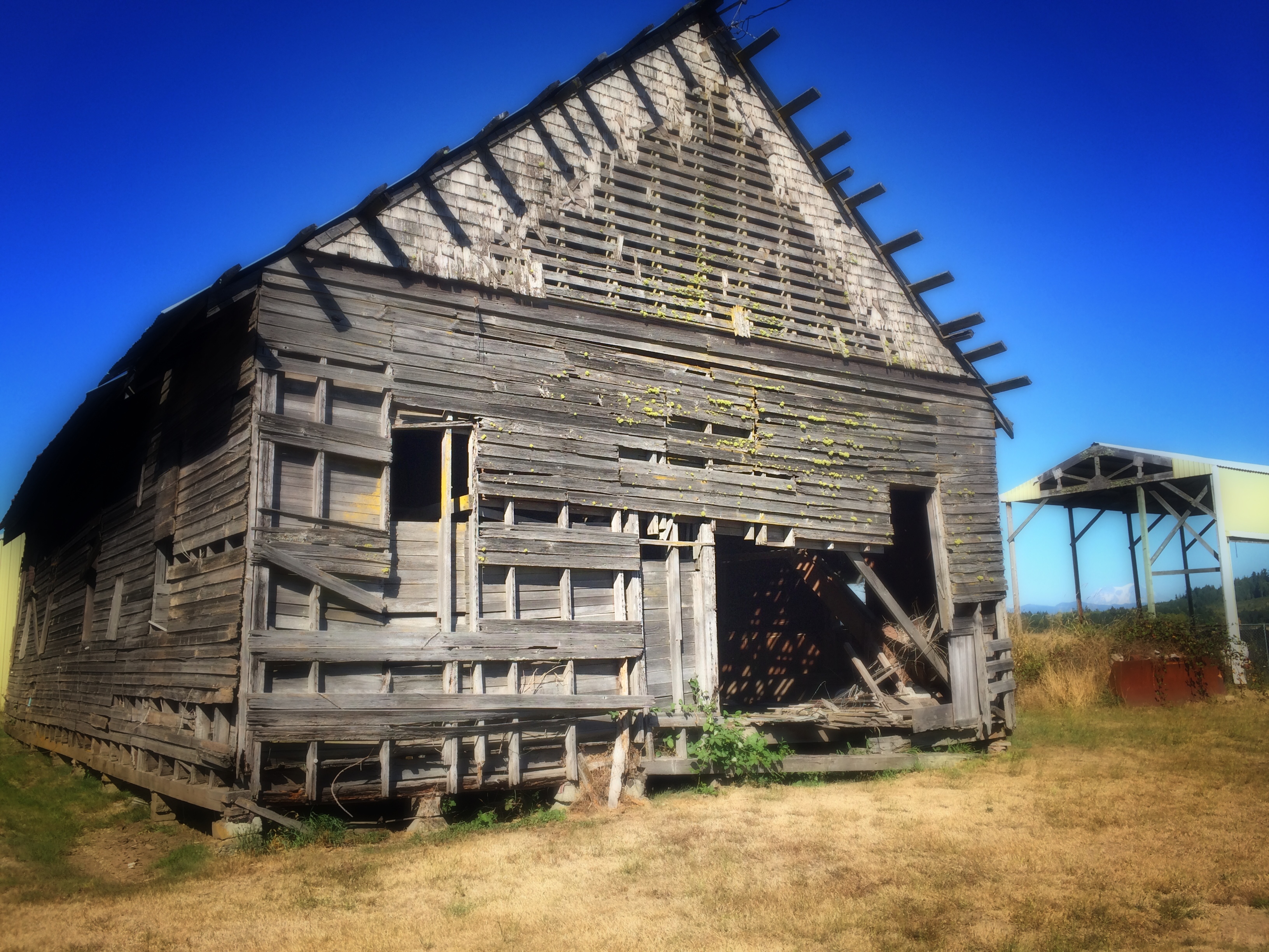 Videography | Jim Bergman Media Consulting and Video | Portland, OR