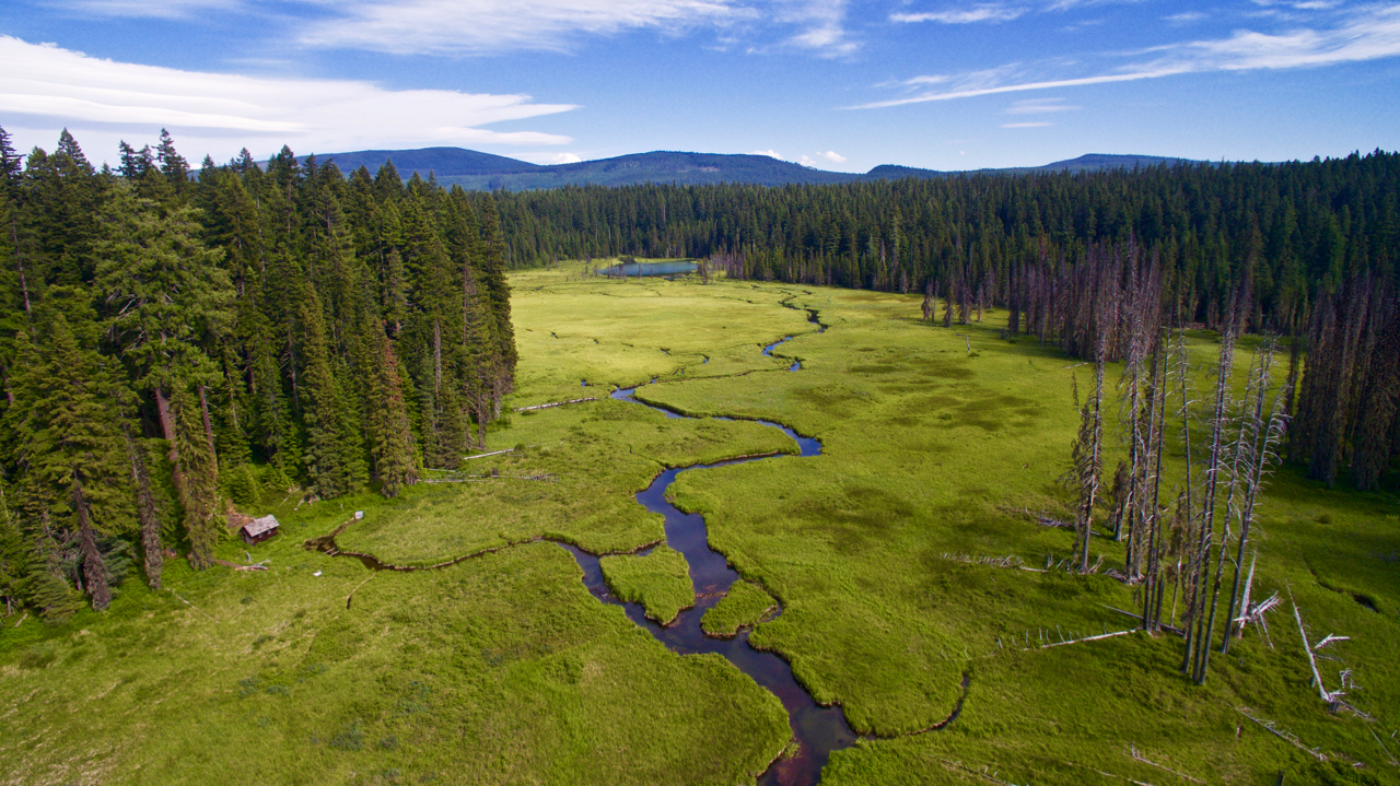 Videography | Jim Bergman Media Consulting and Video | Portland, OR