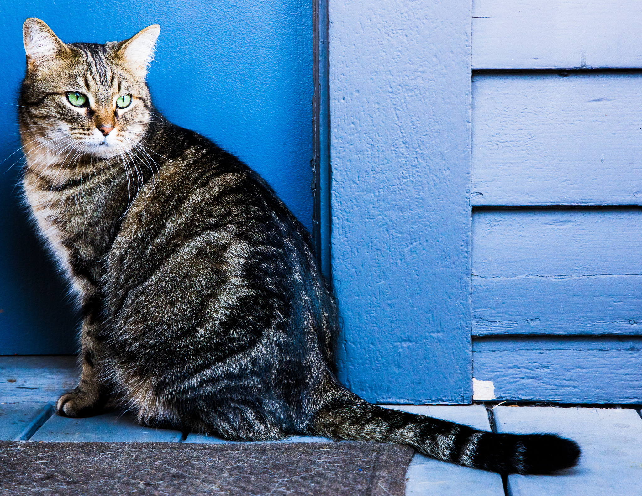 Videography | Jim Bergman Media Consulting and Video | Portland, OR