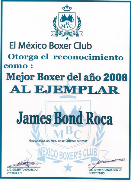 Roca Boxers | Clinica Veterinaria y Criadero