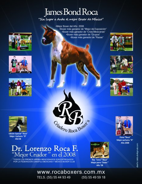 Roca Boxers | Clinica Veterinaria y Criadero