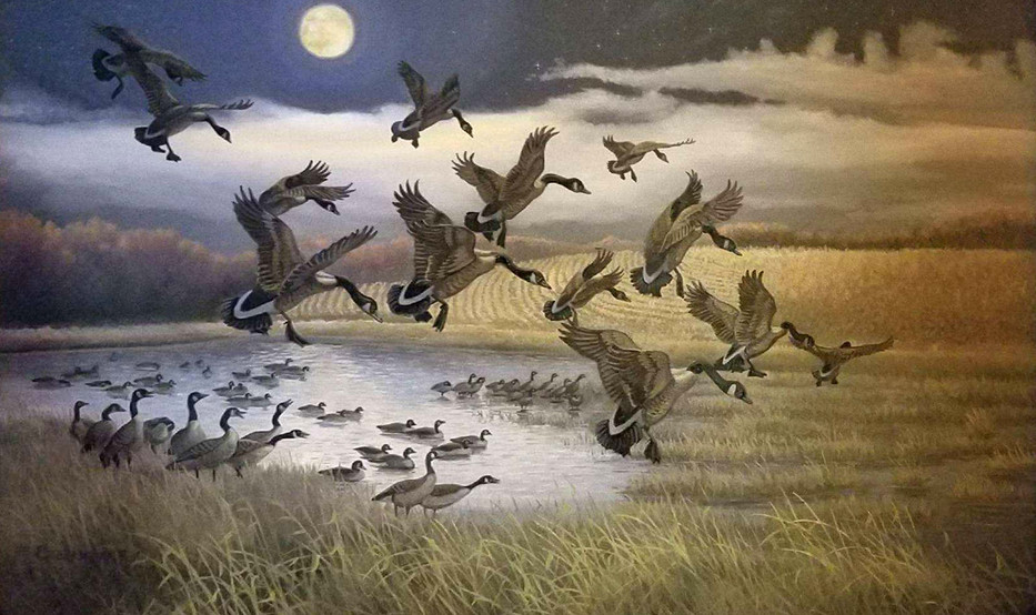 OrignalPaintings OrignalPaintings