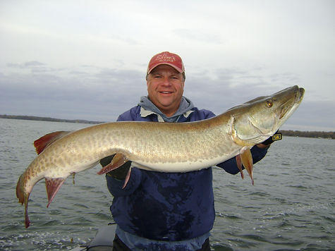 Photos of Our Muskie Catches | My Site