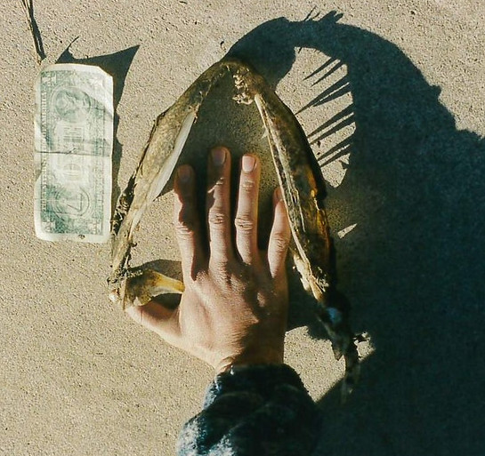 Monster Muskies Pics | My Site