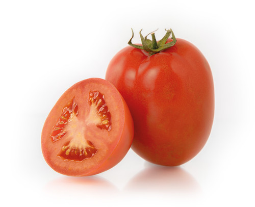 Tomate Hibrido Invictus | Semillas Arroyave