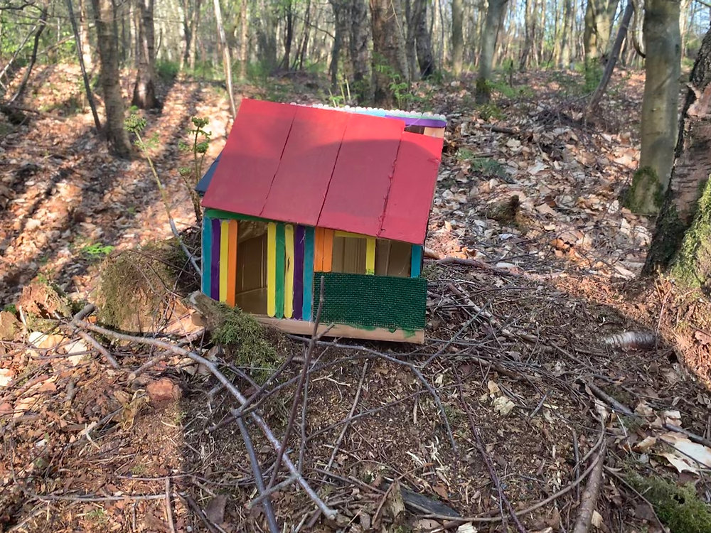 Extended Artist Statement