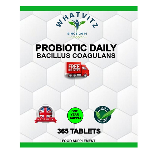 PROBIOTIC DAILY - BACILLUS COAGULANS 500 MILLION CFU 365 TABLETS | Whatvitz