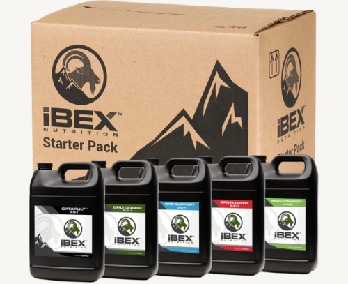 iBEX Quart Starter Pack | Bud Culture Grow Store