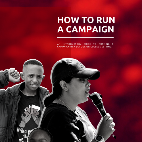 How to Run a Campaign Manual | Justice Desk Africa