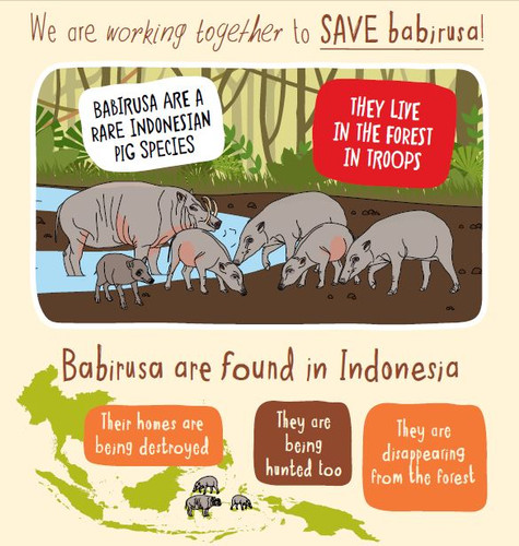 Anoa Infographic | Actionindonesia
