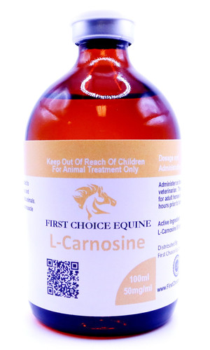 L-Carnosine (Physine) 50mg/ml 100ml | First Choice Equine