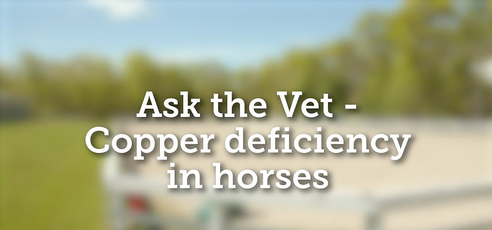 Understanding Copper Deficiency in Performance Horses: Causes, Symptoms ...