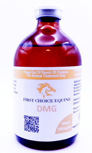 DMG 100mg/ml 100ml | First Choice Equine