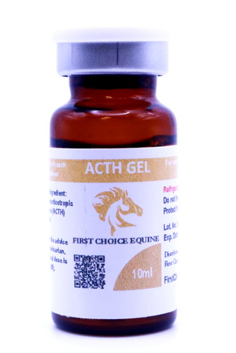 ACTH Gel 80IU/ml 10ml | First Choice Equine