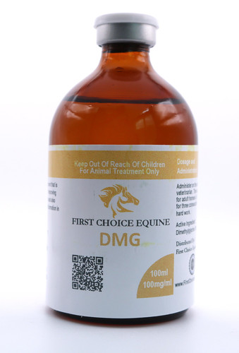 DMG 100mg/ml 100ml | First Choice Equine