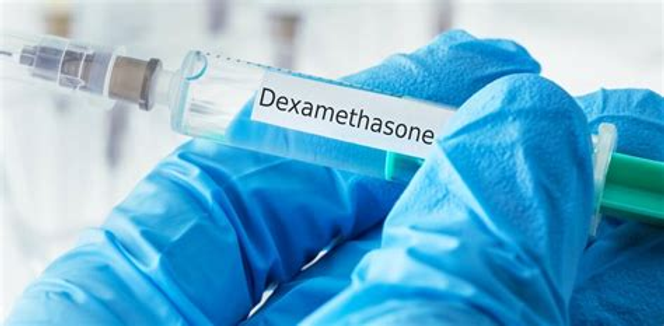 Dexamethasone for Horses: Unleashing the Therapeutic Potential for ...