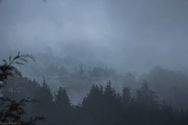 Portrait, Event & Travel photographer | Njenga7 photography | Nairobi