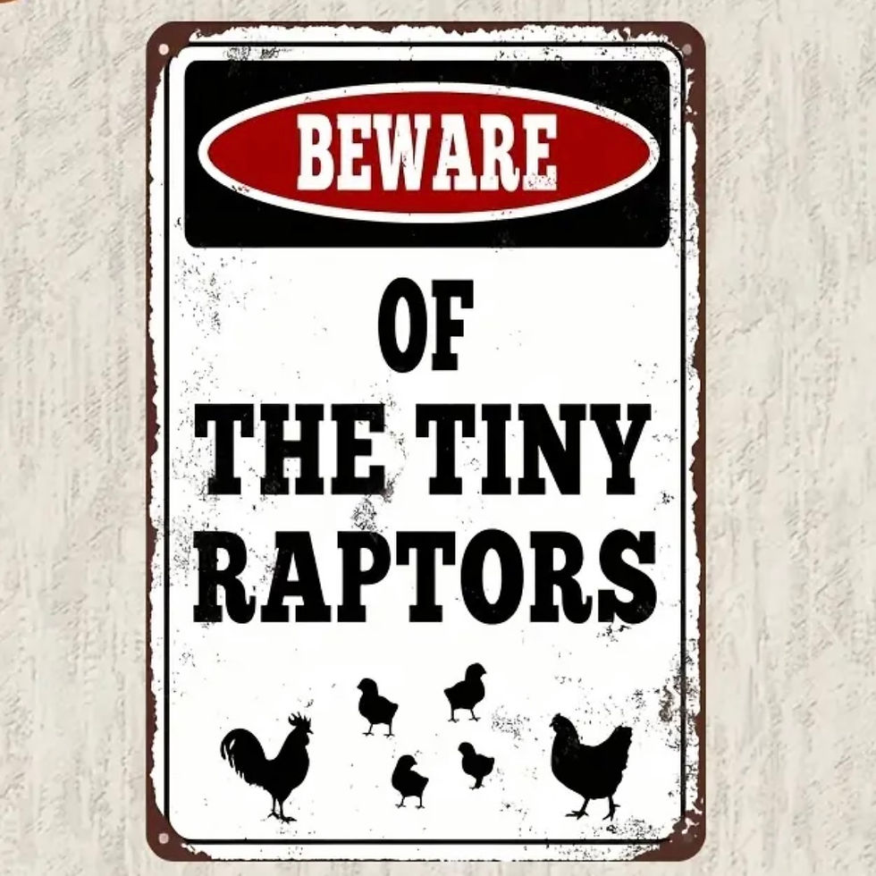 “Beware of tiny raptors” tin coup sign | The Tiny Homestead