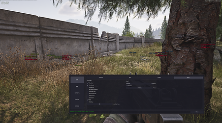 Arena Breakout Infinite SHACK Cheat & Hack - Aimbot, Wallhack, Item esp ...